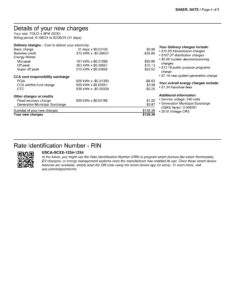 Understanding Your Bill | Clean Power Alliance