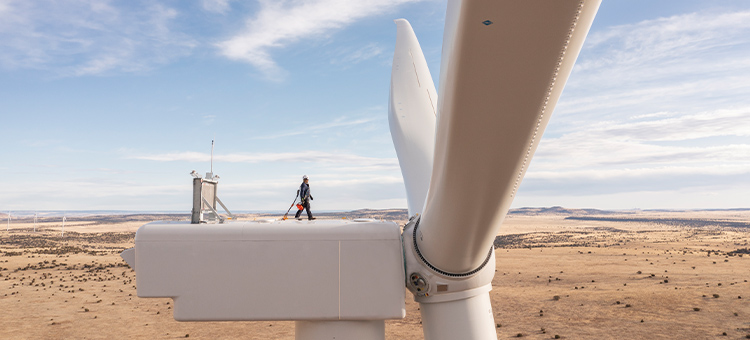 Homepage - Clean Power Alliance